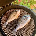 Dorade van de BBQ, een heerlijke en makkelijke vis - BBQ-Buddiez